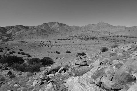 Bob Rabbit Canyon - Monkey Flower Ranch